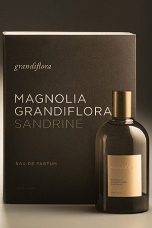 Magnolia: The Note + The Fragrances | Australian Perfume Junkies