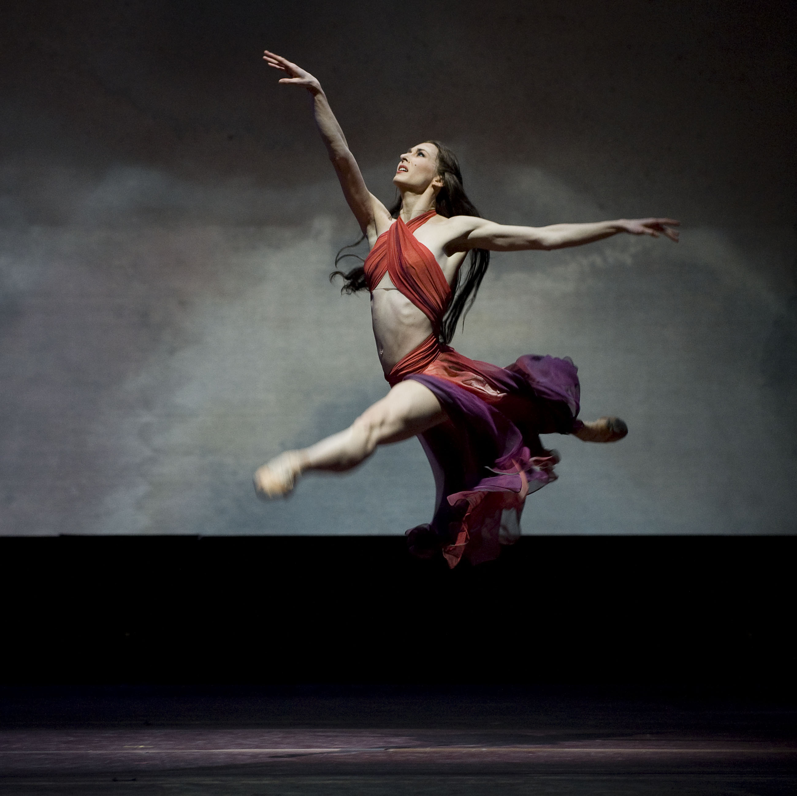 Ballets Rouges by Ellen Covey for Olympic Orchids 2012 | Australian ...