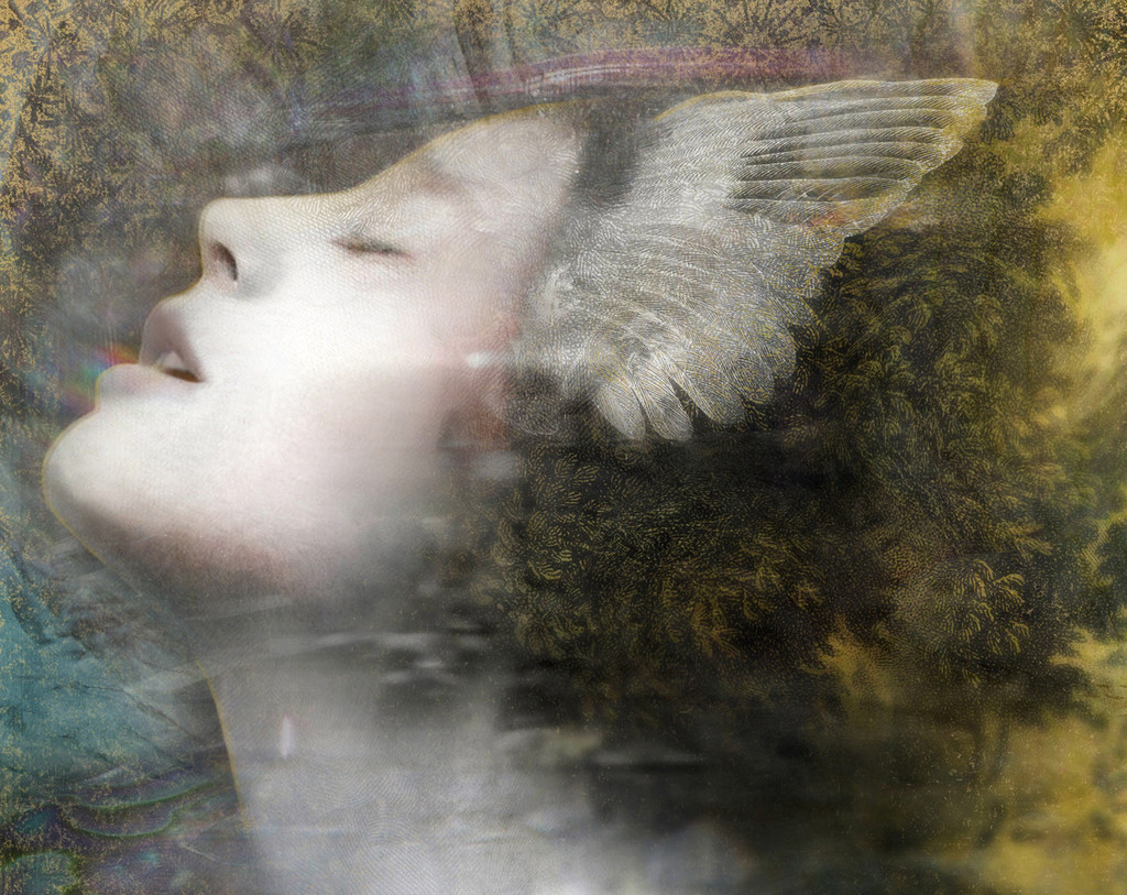 Impromptu by Roxana Villa for Roxana Illuminated Perfume 2012 ...