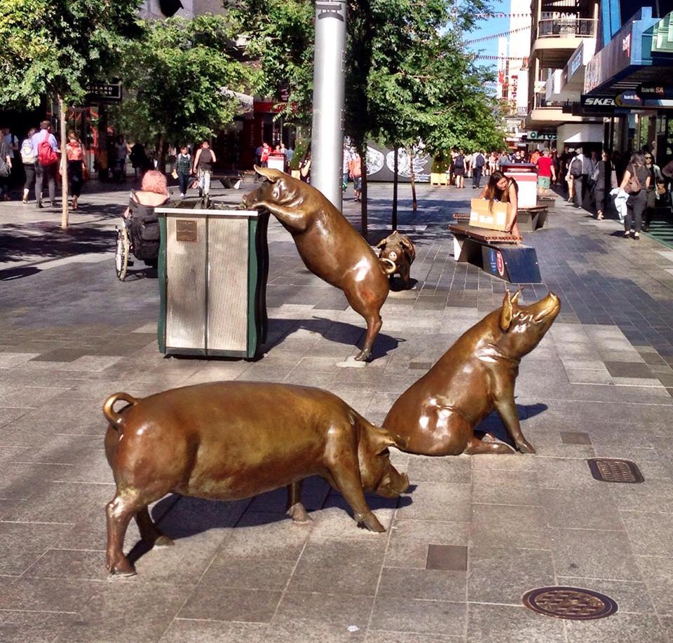 Adelaide, South Australia with TinaG + Photo Essay | Australian Perfume ...