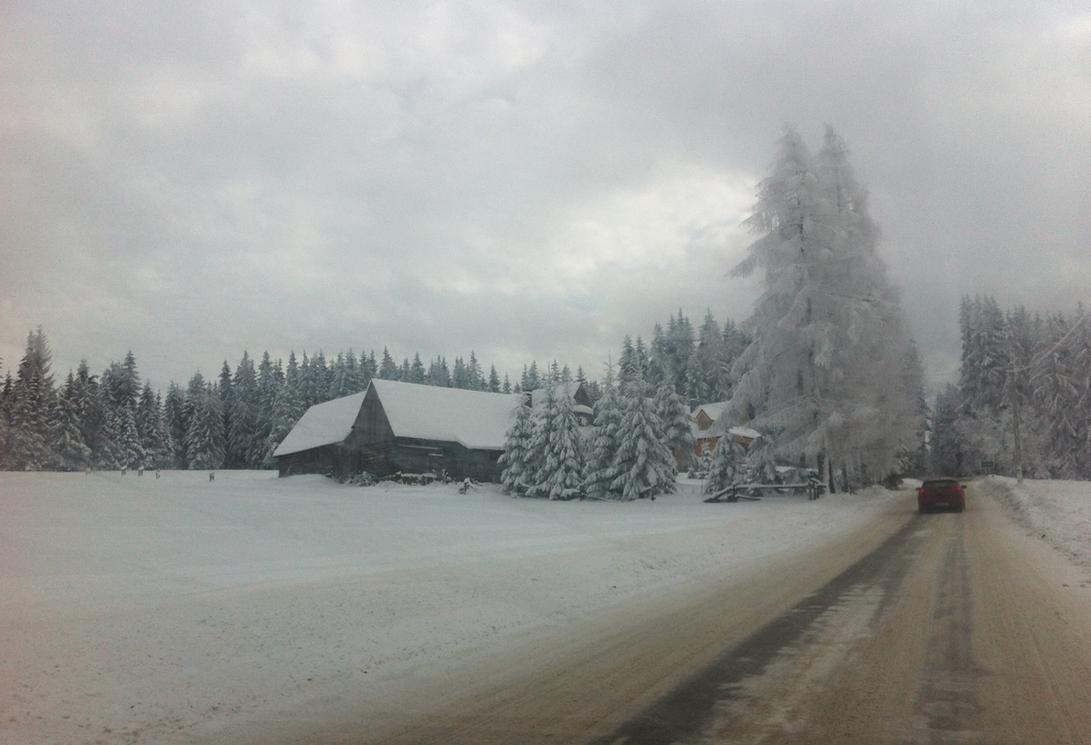 1976 by Edward Bodenham for Floris 2016 | Australian Perfume Junkies