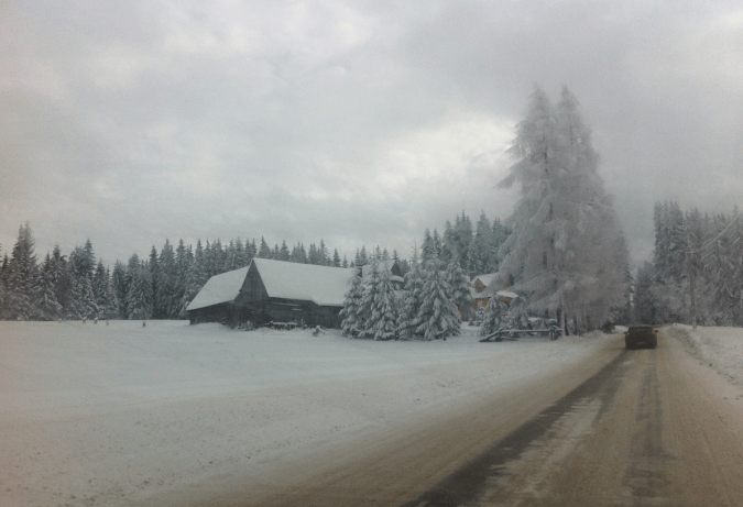 1976 by Edward Bodenham for Floris 2016 | Australian Perfume Junkies